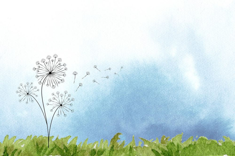 Begravningsbyrå Mölndal: att välja rätt stöd i svåra tider